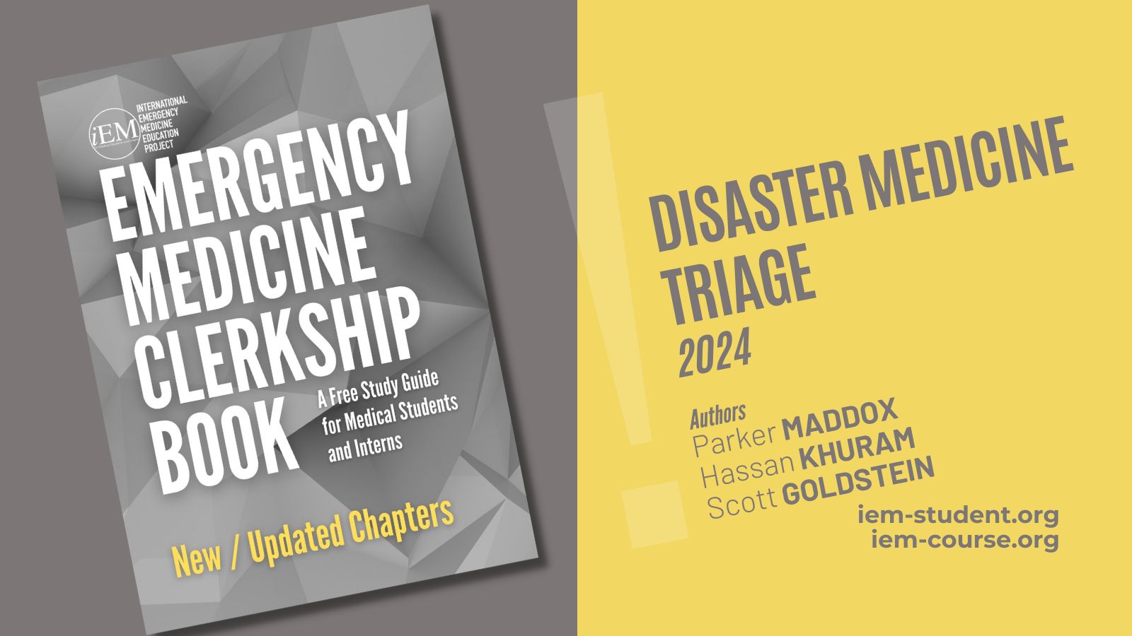 Disaster Medicine Triage (2024) – International Emergency Medicine ...