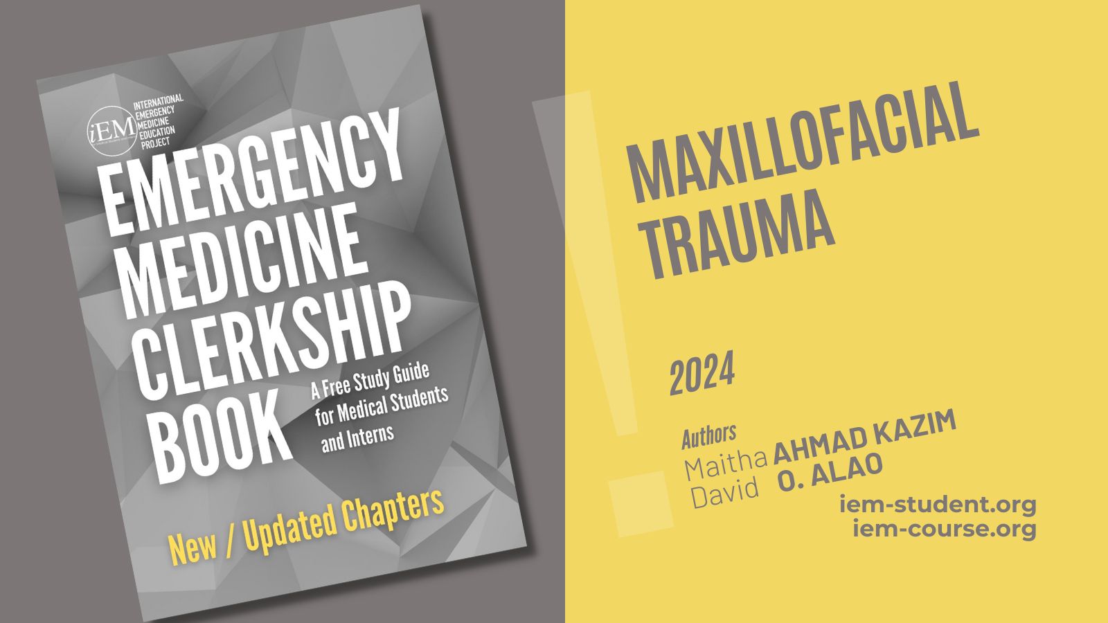Maxillofacial Trauma (2024) – International Emergency Medicine ...
