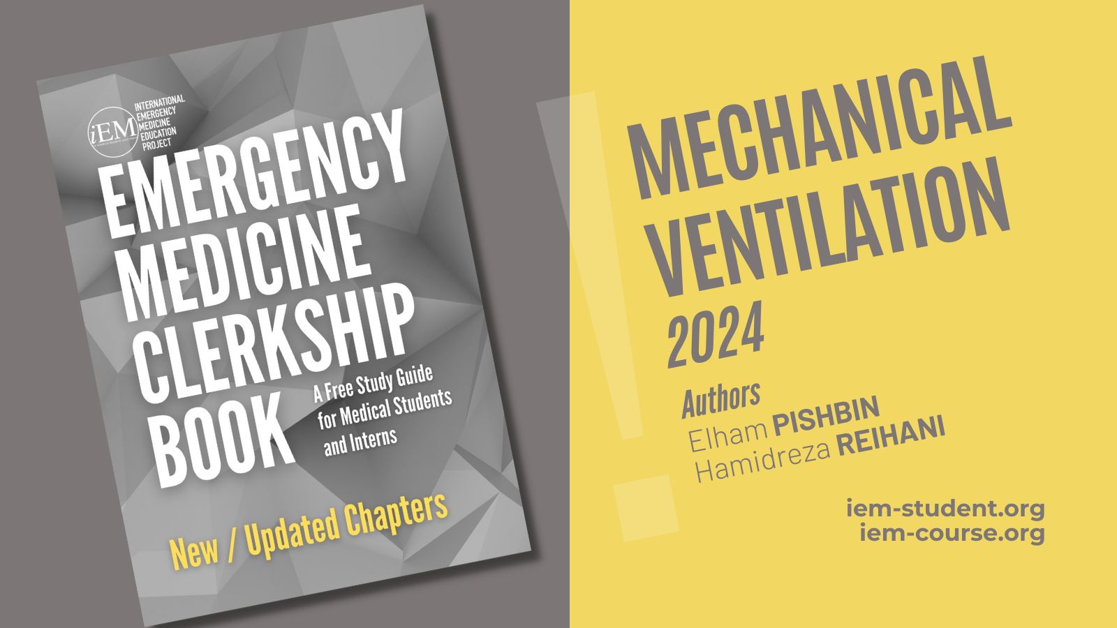 Mechanical Ventilation (2024) – International Emergency Medicine ...