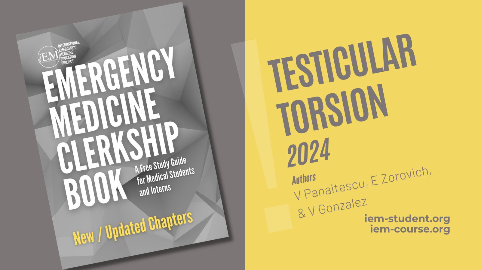 Testicular Torsion (2024) – International Emergency Medicine Education ...