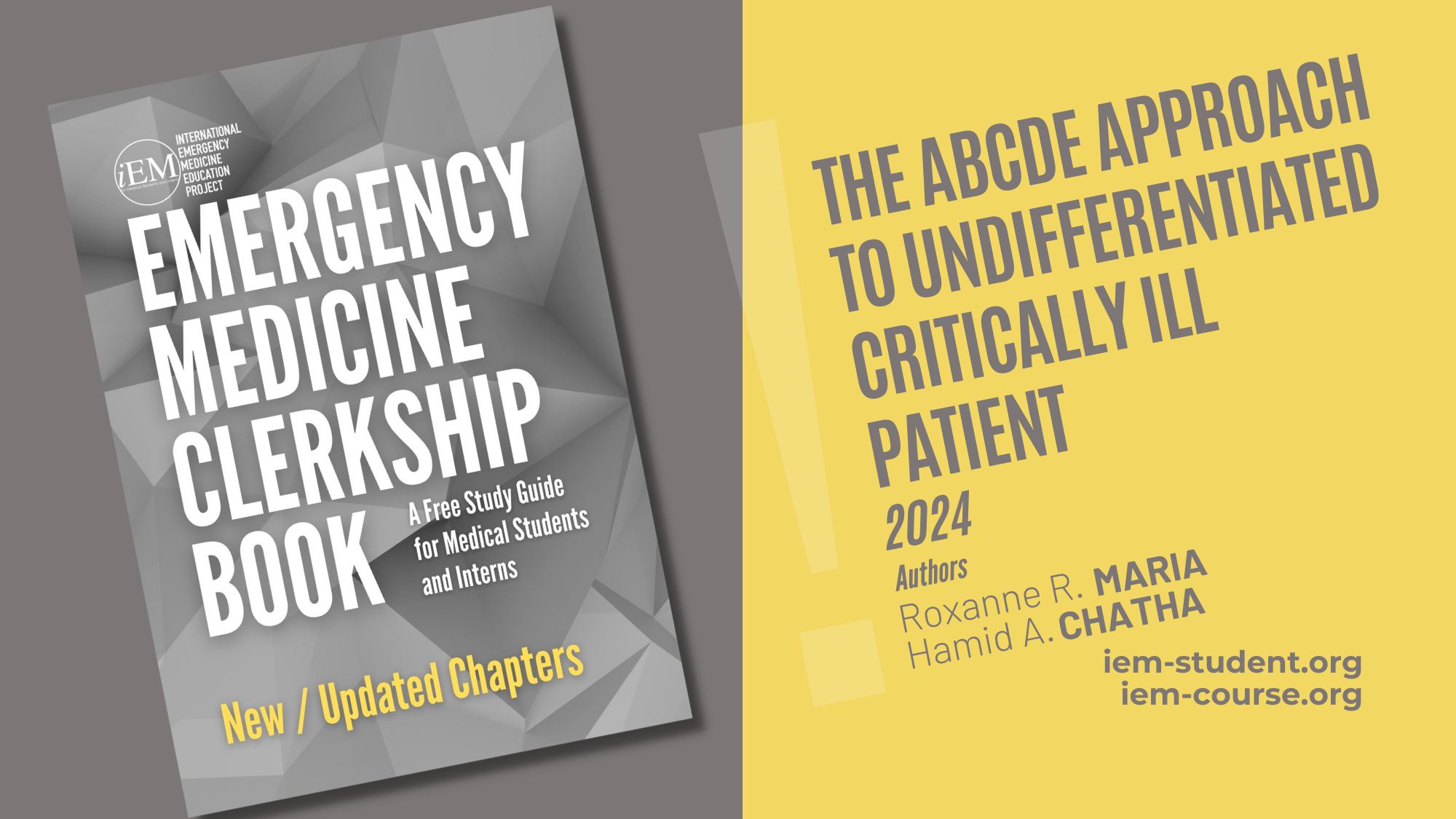 The ABCDE Approach to Undifferentiated Critically Ill and Injured ...