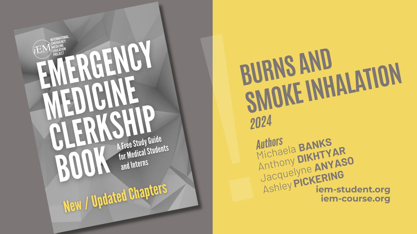 Burns and Smoke Inhalation (2024) – International Emergency Medicine ...